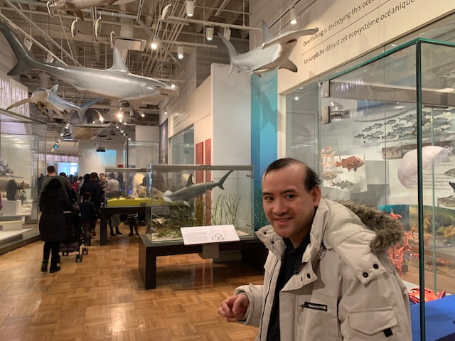 Michael comes face-to-face with the mighty Tyrannosaurus Rex at the ROM ...